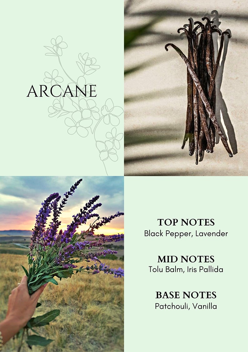 ARCANE EAU DE PARFUM - 100 ML – Albatross Clothing